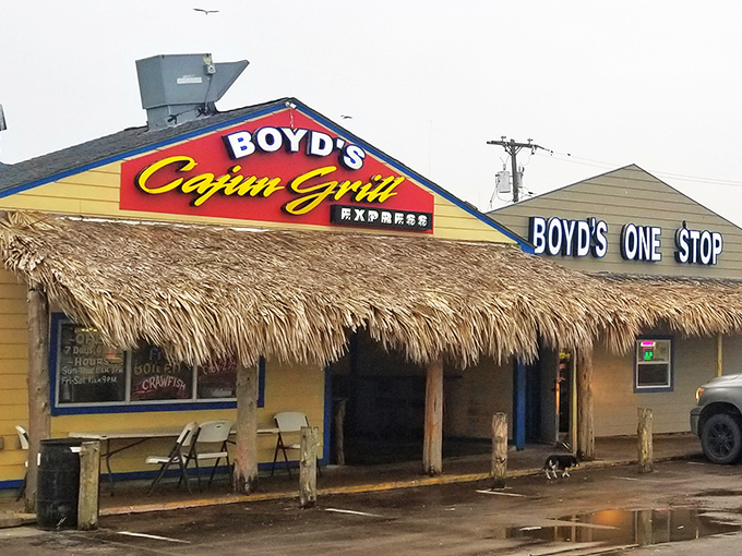 Part store, part Cajun cuisine haven, Boyd's is like finding a pearl in an oyster &ndash; unexpected and utterly delightful.