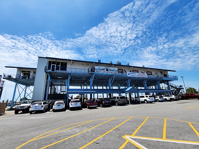 Seafood treehouse for grown-ups: McElroy's proves that sometimes the best things in life are elevated &ndash; literally and culinarily.