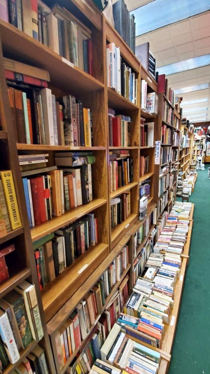 From quantum physics to abstract art, this corner's got more range than Meryl Streep's filmography. Time to flex those brain muscles!