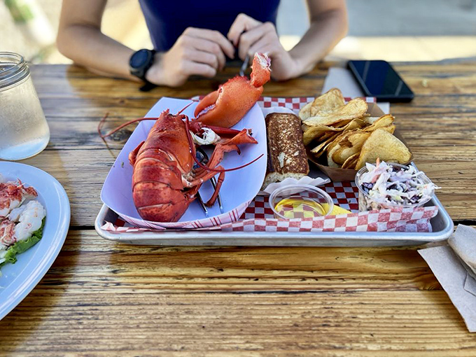 Lobster perfection on a plate! This whole steamed beauty is ready for its close-up, and trust me, you'll want to be its co-star.