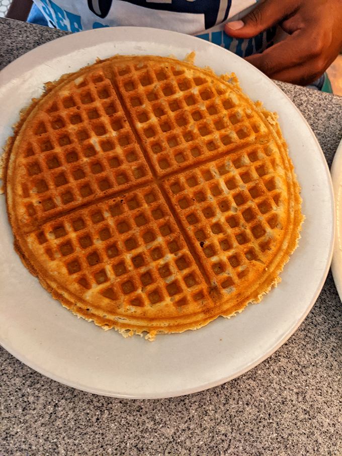 Waffle wizardry at its finest! This golden disc of deliciousness is more photogenic than most Instagram influencers.