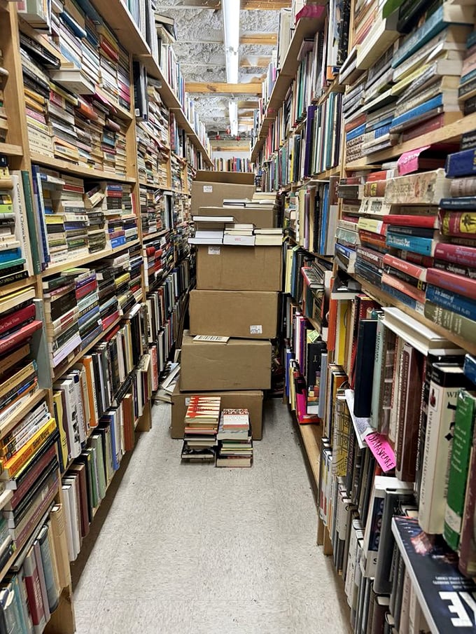 Fresh books, hot off the... dolly? It's like Christmas morning for bibliophiles, but Santa's elves look suspiciously like hardworking staff members.