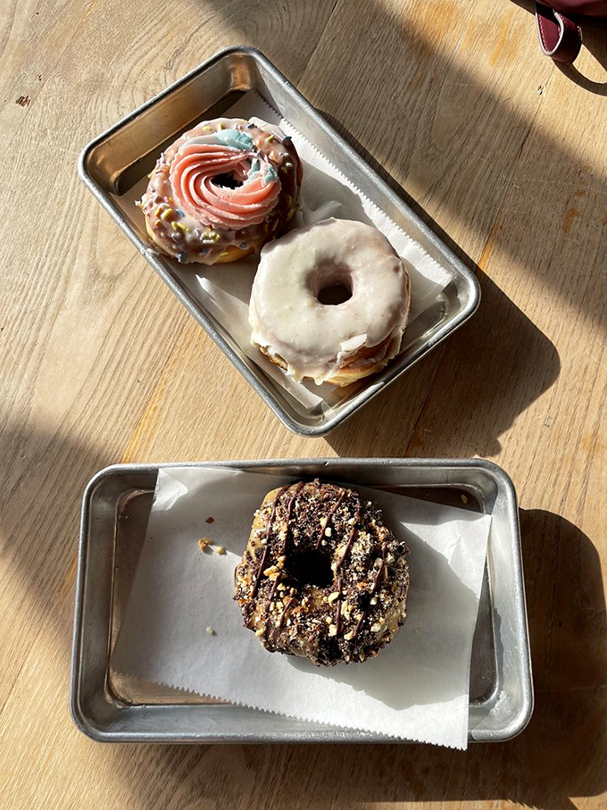 Donut democracy in action—a flavor for every preference. The sugar-crusted marvel in the corner is quietly plotting world domination.