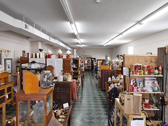 Organized chaos or chaotic organization? These shelves are a testament to the art of curating curiosities and the science of spatial tetris.