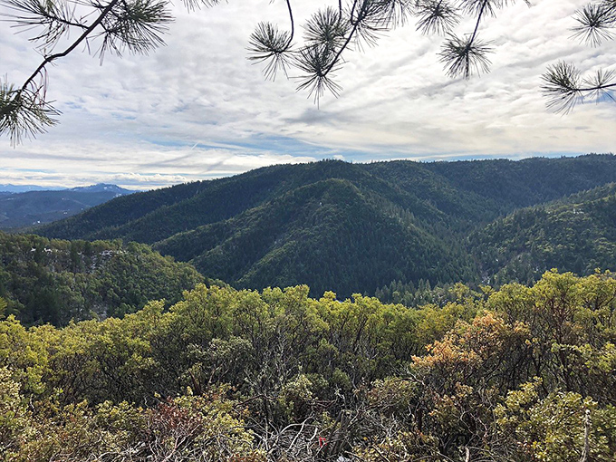 Welcome to Oregon's version of Middle-earth. These hills are so lush, even Hobbits would consider relocating.