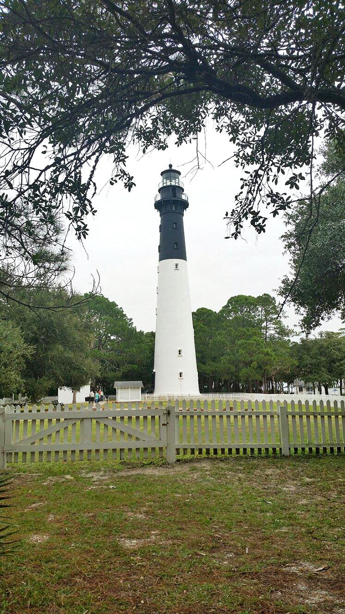 Tall, dark, and handsome – this lighthouse is the George Clooney of the coast. A beacon of history standing proud.