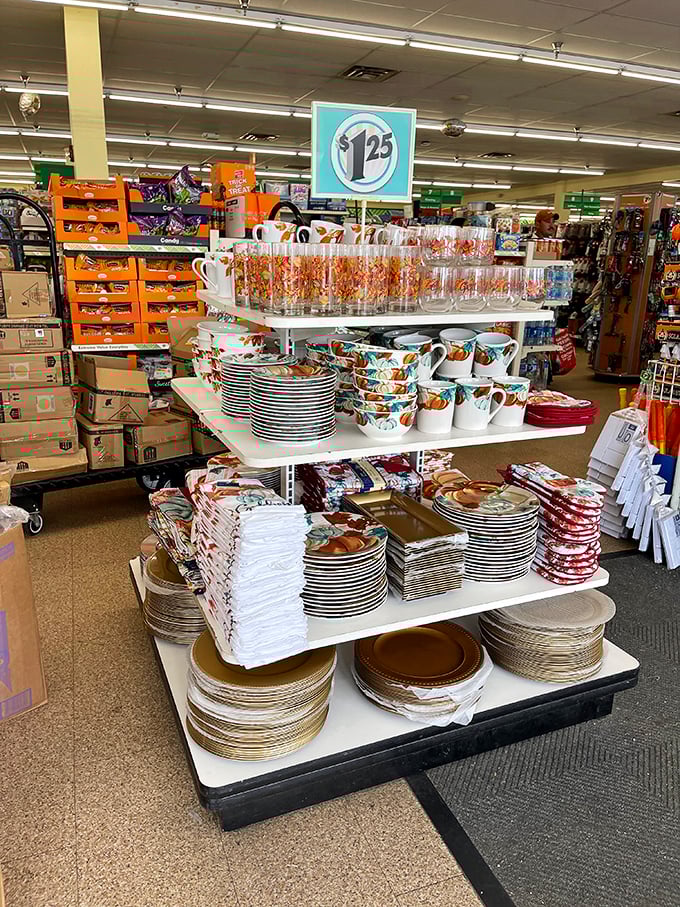 Step right up to the $1.25 extravaganza! These dishes and glasses are the china shop where the bull can actually afford to go wild.