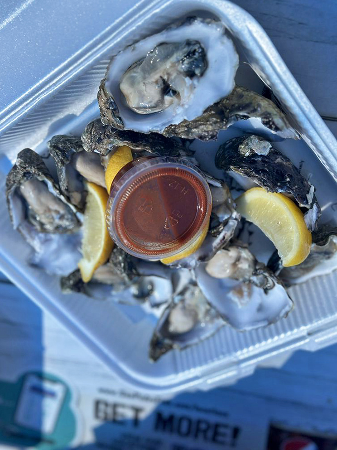 Oysters on the half shell: nature's perfect appetizer. These briny jewels are just begging for a squeeze of lemon and a dash of adventure.