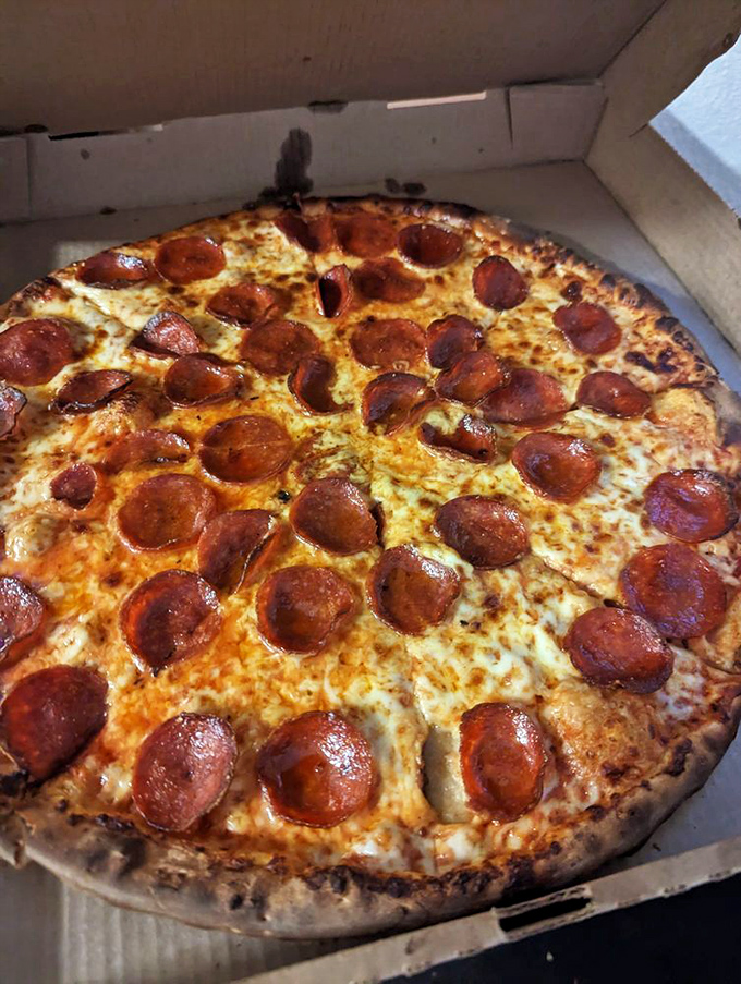 Pepperoni perfection! Each slice is like a crispy, cheesy canvas painted with delicious circles of spicy goodness.