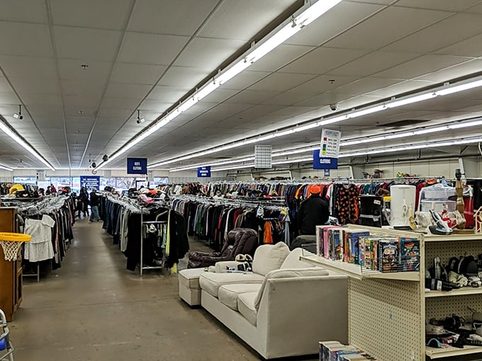 Treasure hunters in their natural habitat. Watch as they navigate the aisles with the focus of contestants on "The Amazing Race."