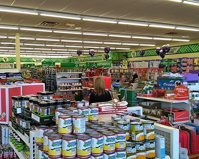 Bargain hunters in their natural habitat, navigating aisles with the precision of seasoned dollar store veterans. Watch as they wrestle with life's big questions: "Do I really need this?"