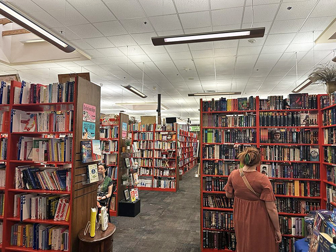 Lose yourself in the stacks! These red shelves are like a literary labyrinth, where every turn might lead to your next favorite author.