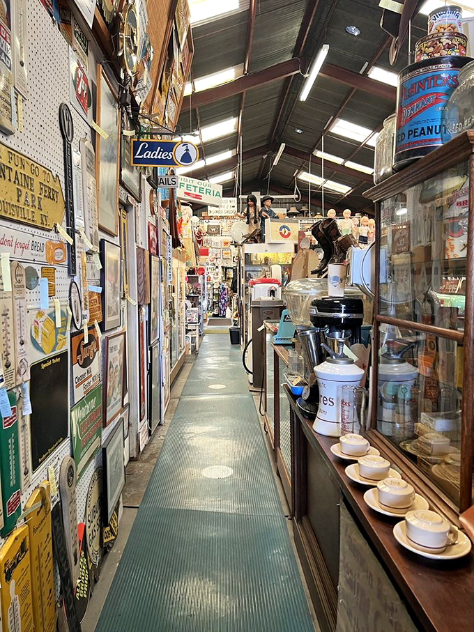 Aisle of wonders! It's like someone organized your favorite thrift store finds into a museum-worthy display. Marie Kondo, eat your heart out!