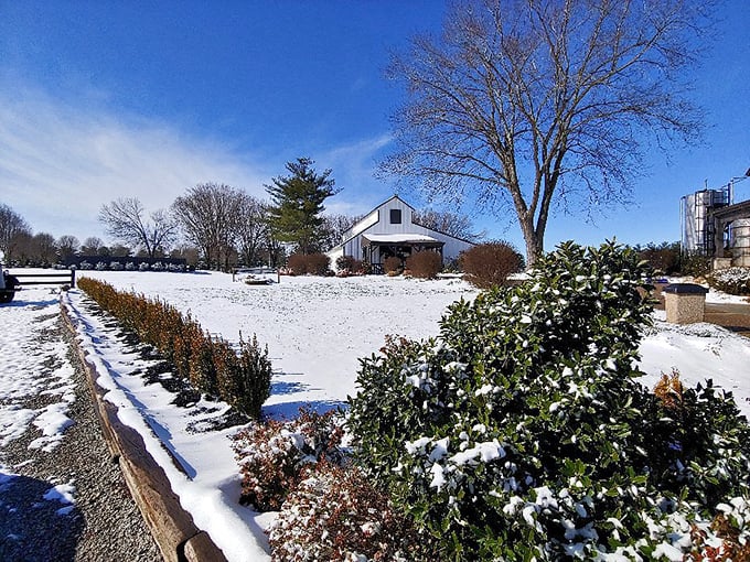Winter in bourbon country: When the snow falls, the whiskey flows. It's nature's way of saying, "Stay in and have a drink!"