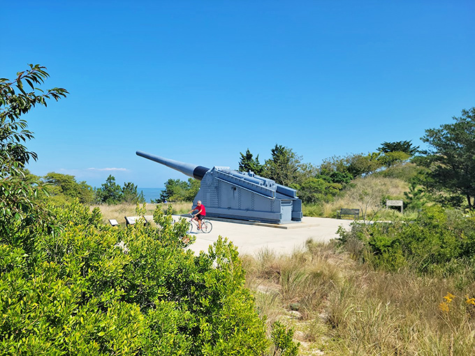Fort Miles' historic gun battery stands as a silent sentinel at Cape Henlopen. This WWII relic seems almost out of place amid such serene natural beauty.