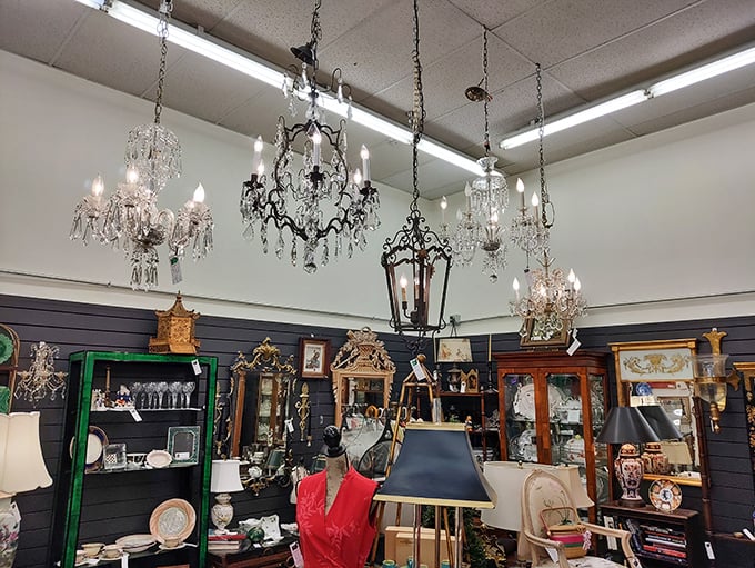 Lights, camera, sparkle! These chandeliers aren't just lighting fixtures; they're time capsules of glamour, ready to make your ceiling the star of the show.