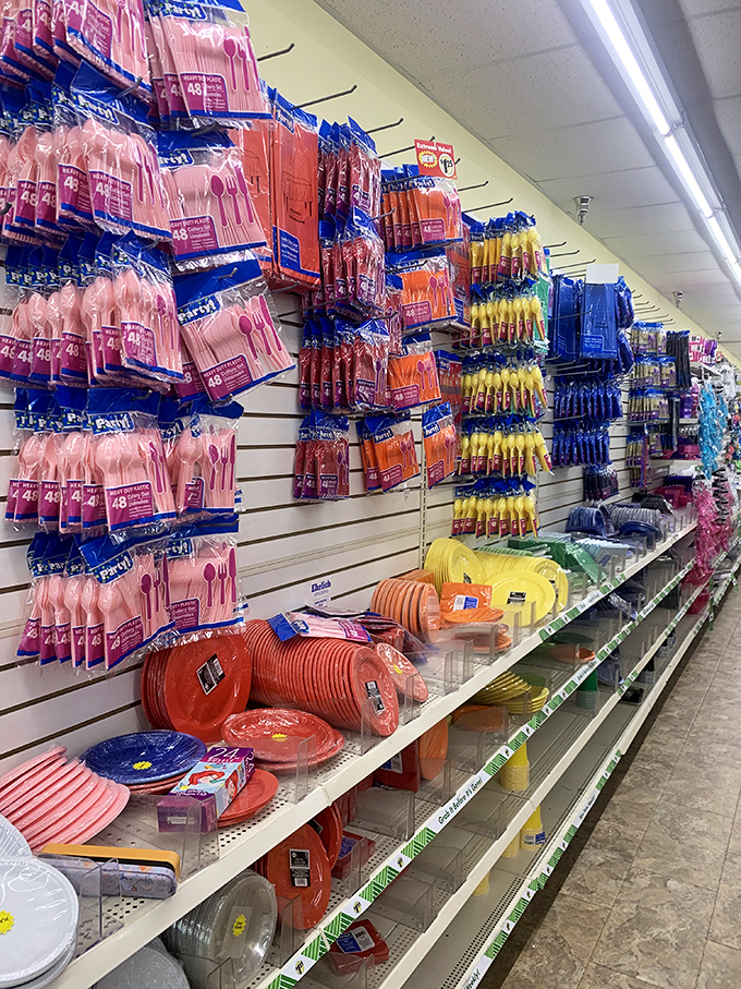 Party planning on a dime? This colorful cornucopia of disposables has got you covered. From birthdays to barbecues, no celebration is too big or small.