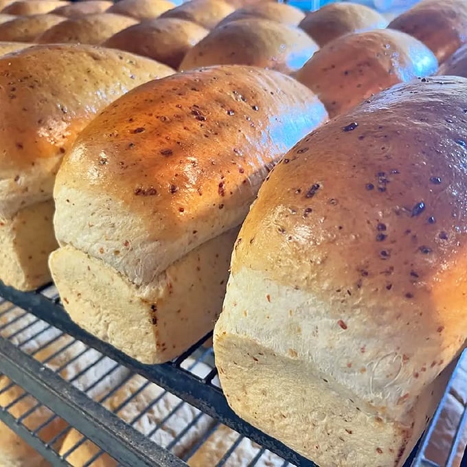 Golden, garlicky, and oh-so-cheesy. This bread is like a warm hug for your taste buds—Italian grandmother approved!