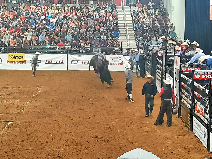 Yeehaw! The Michiana Event Center: where cowboys meet cornfields. It's like the Wild West decided to vacation in the Midwest and never left.