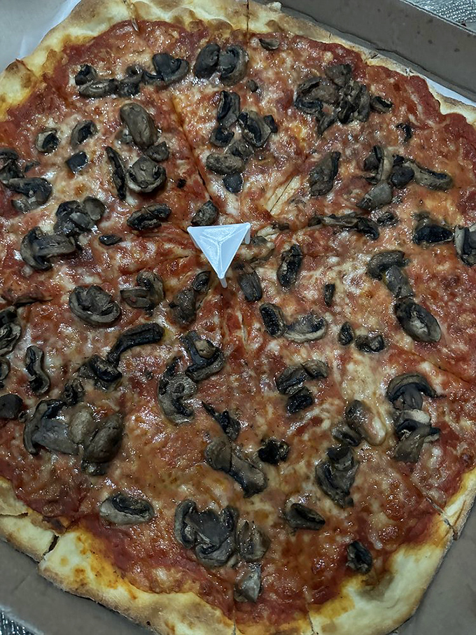 Mushroom lovers, rejoice! This fungi-fantastic pie is so good, it might just be the pizza that grows on you.