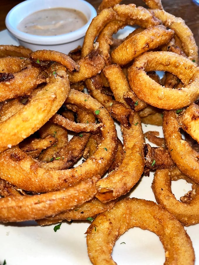Crispy, golden onion rings that could double as delicious life preservers. Dive in, the flavor's fine!