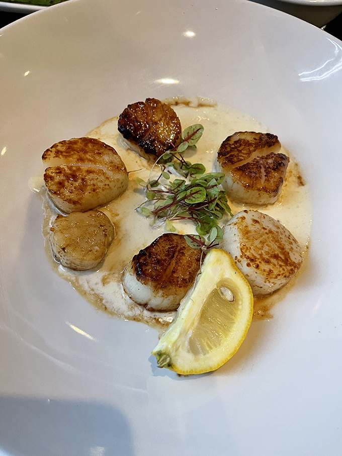 Scallops so perfectly seared, they could make Gordon Ramsay weep with joy. Nestled in a creamy sauce, they're like little pillows of oceanic bliss.