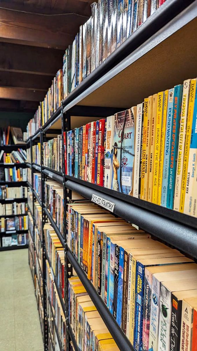 Sci-Fi central! From space operas to dystopian dramas, these shelves are your ticket to worlds beyond. Beam me up, Scotty!