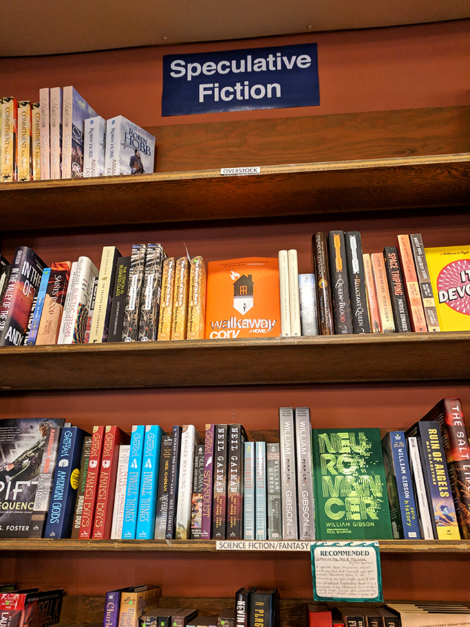 Speculative fiction: where reality takes a coffee break and imagination runs the show. Time travel, anyone?