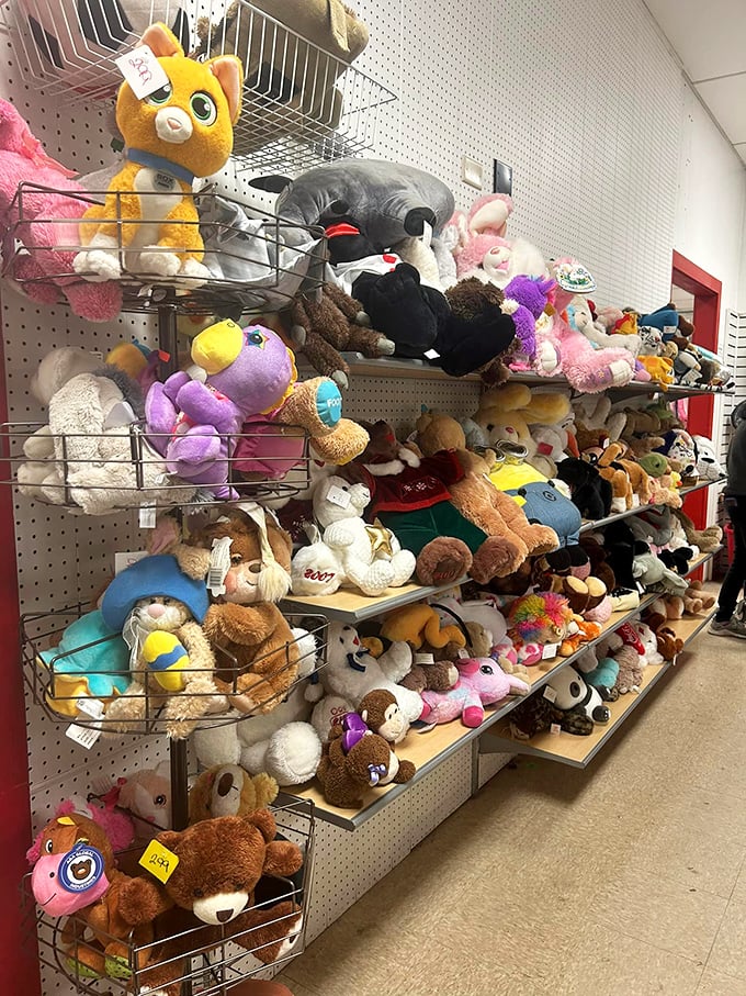 "Stuffed animal reunion! It's like Noah's Ark met Toy Story, and everyone's invited to this cuddly gathering."