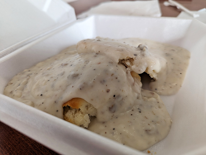 Double trouble never looked so good! Two golden biscuits playing hide and seek under a blanket of velvety gravy. Can you find them?