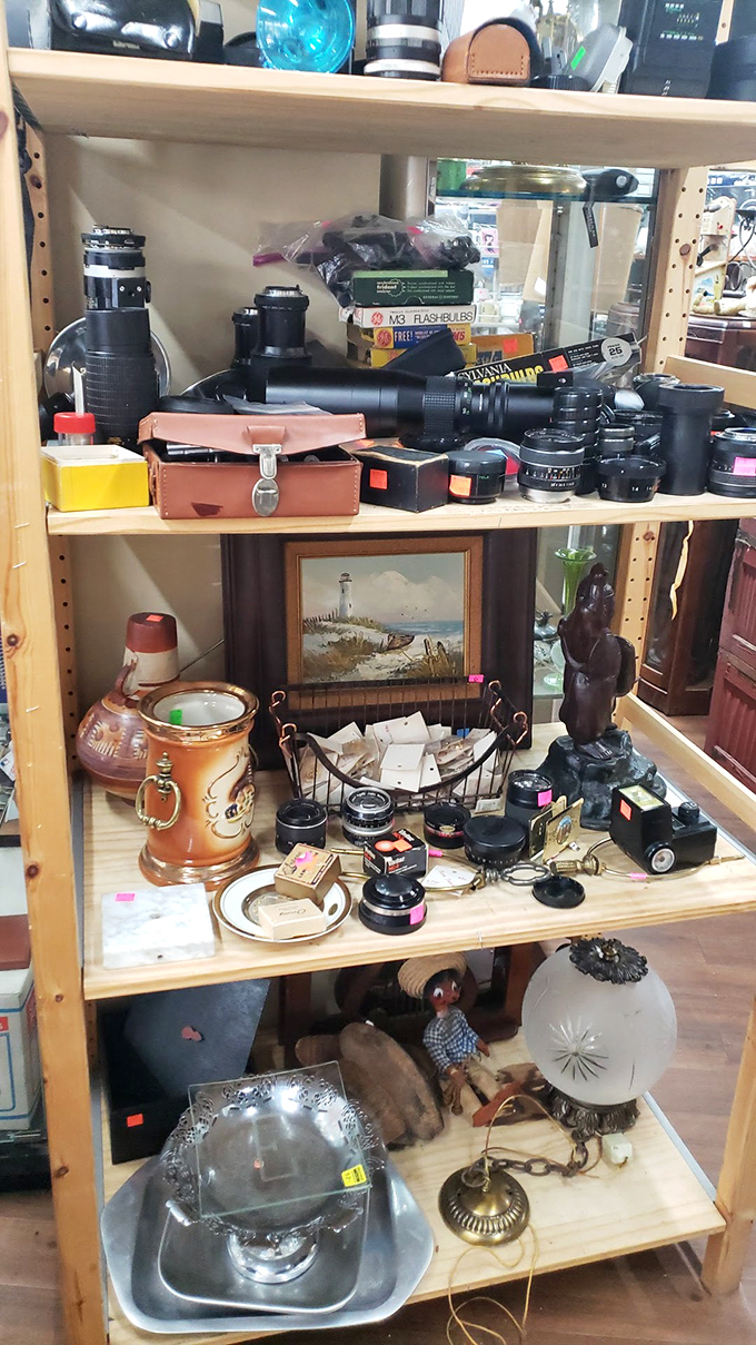 Calling all shutterbugs! These vintage cameras have captured countless moments. Time to add your own story to their legacy.