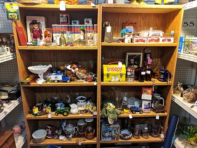 Toy Story comes to life! From Snoopy to tractors, this shelf is where childhood dreams and adult nostalgia collide in a time-warped playdate.