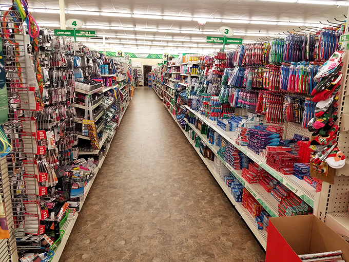 The hygiene aisle stretches toward infinity, offering enough toothbrushes and deodorant to survive both a Minnesota winter and apocalypse with minty freshness.