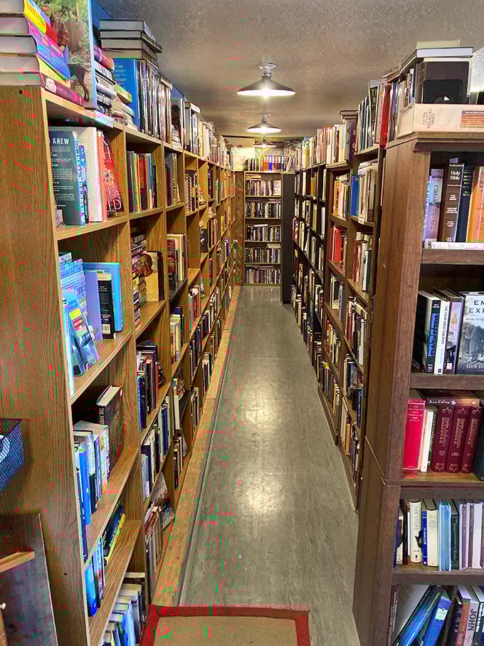 Narrow passages between towering shelves – it's like Indiana Jones and the Temple of Books in here!