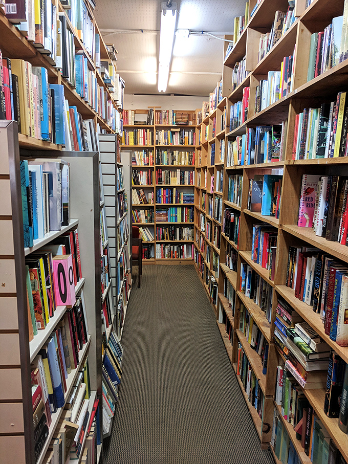 Aisle be there for you, and you, and you! This corridor of knowledge is giving serious "Beauty and the Beast" library vibes.