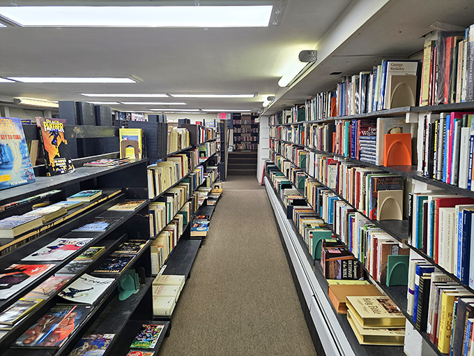 Welcome to the literary express! All aboard for a journey through genres, with colorful book spines as your scenic view.