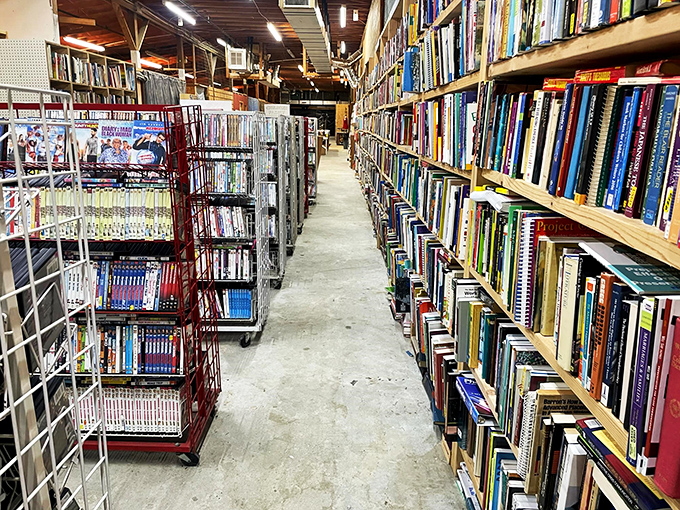 Down the rabbit hole we go! This aisle isn't just a path; it's a portal to countless worlds waiting to be explored.
