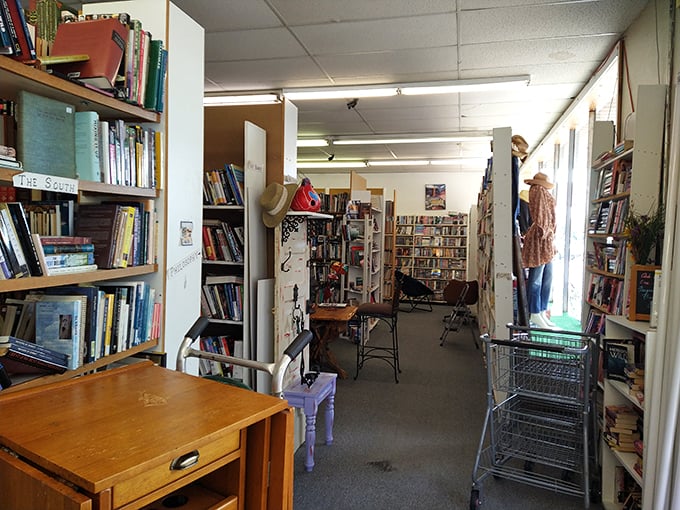 Lost in the stacks? Don't send a search party just yet. This literary labyrinth is where bookworms come to play.