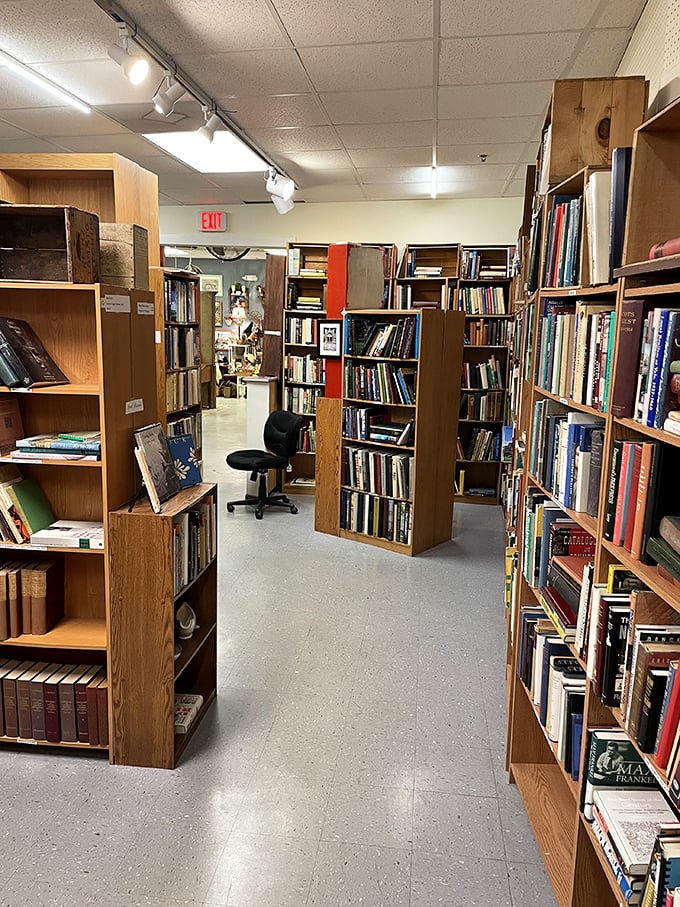 Bookworms, beware! This literary labyrinth might just turn your quick browse into an all-day affair.