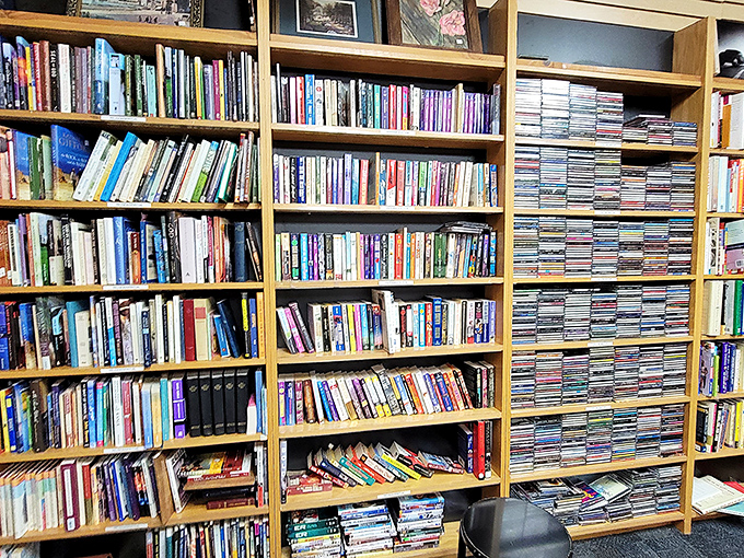 Literary heaven for bibliophiles! Floor-to-ceiling shelves packed with paperbacks, hardcovers, and enough reading material to survive a year-long power outage.
