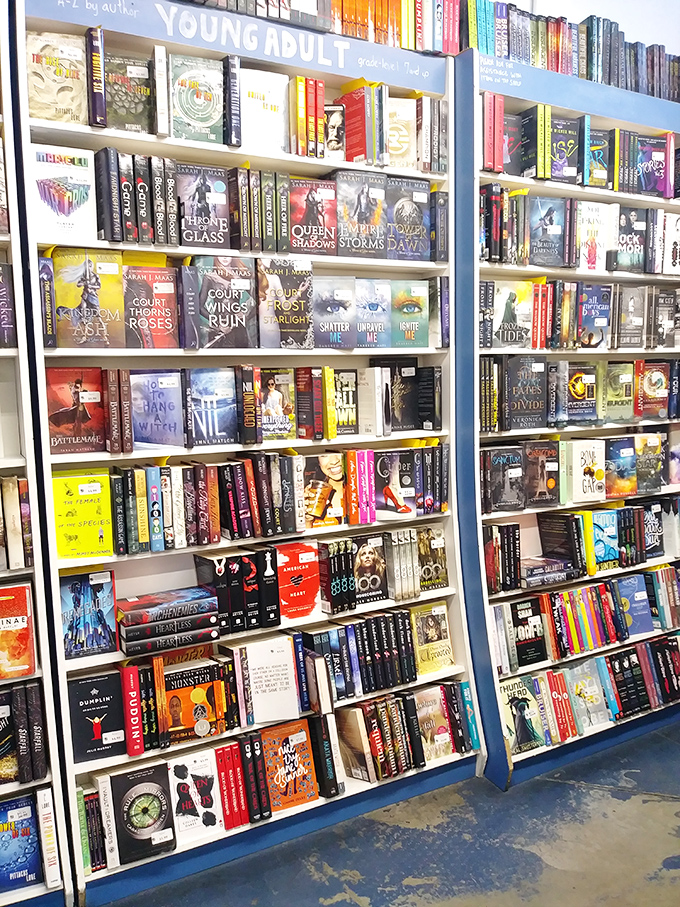 Young Adult fiction: where vampires, dystopias, and coming-of-age stories collide. It's a literary buffet for the eternally young soul.