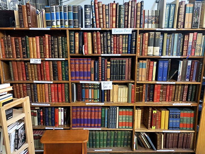 From leather-bound classics to paperback gems, these shelves are a rainbow of literary delights. Time to judge some books by their covers!