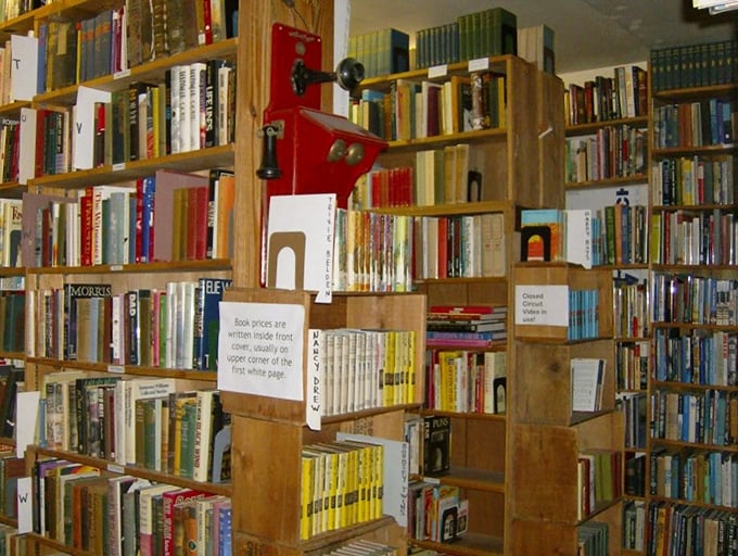 Wooden shelves groan under the weight of literary giants. It's a gym for your mind, no membership required!