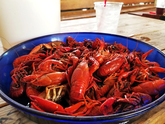 Seafood lovers, rejoice! These crawfish are like tiny, spicy treasures from the bayou. Grab a cold drink and get ready for a flavor explosion.