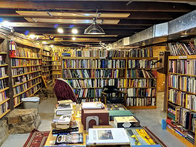 Step into a world of endless possibilities! Each shelf is a portal to adventure, waiting to be explored.