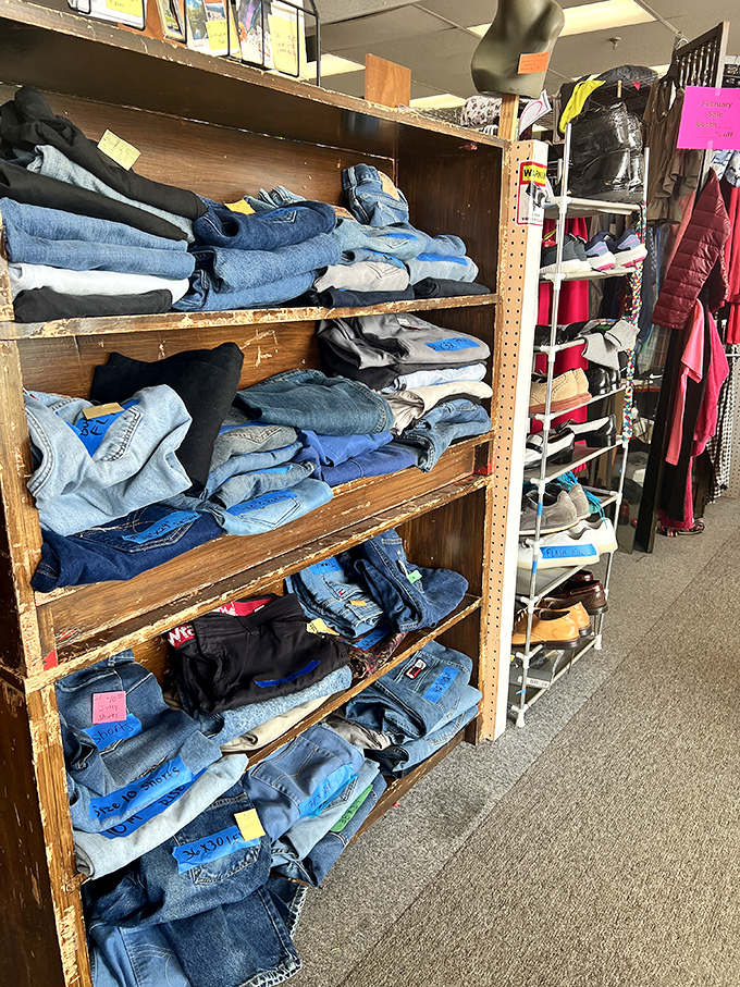 Denim dreams and vintage vibes! This jean collection is a testament to fashion's cyclical nature – your old bell-bottoms might be cool again.