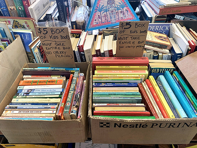 Kids' books galore! It's like Willy Wonka's factory, but instead of chocolate, it's filled with colorful tales and flights of fancy.