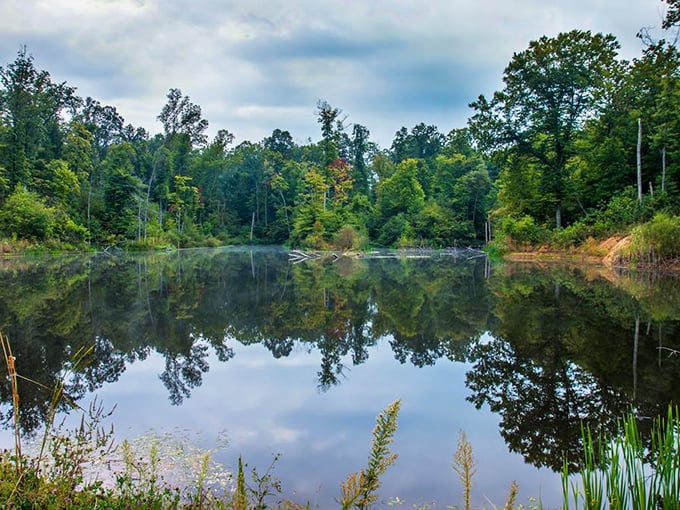Tranquility, thy name is this serene lake. It's the perfect spot for contemplating life's big questions, like "Why didn't I bring my fishing rod?"