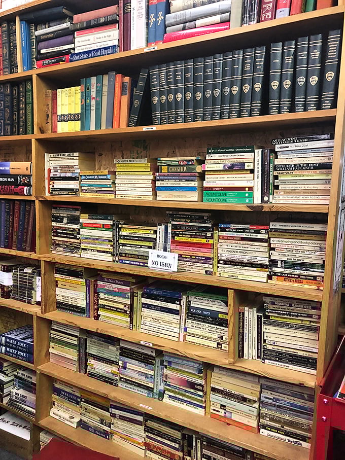 From leather-bound classics to paperback gems, this shelf is a time machine through literary history.