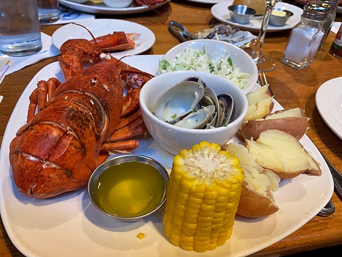 This lobster's so red, it could be auditioning for "The Little Mermaid." Sebastian would be proud of this show-stopping seafood spectacle.